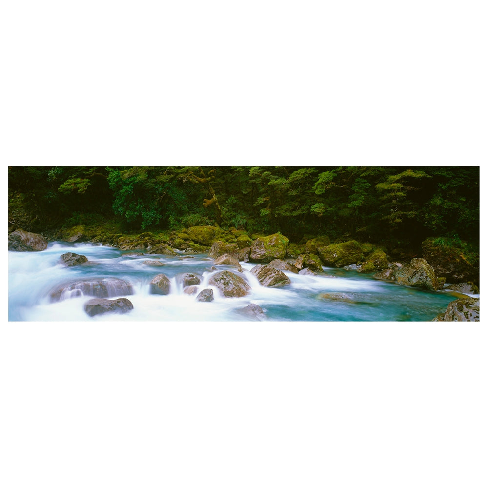 Hollyford Treasure Limited Edition Print By Photographer Richard Hume
