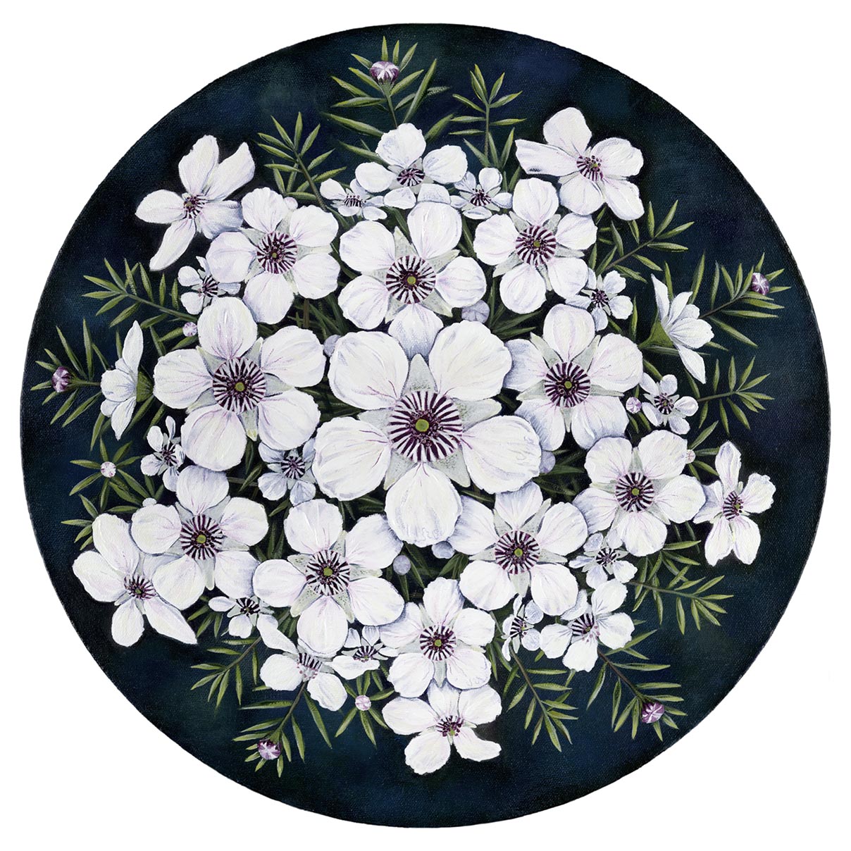 Manuka Blooms Round Acrylic Painting On Canvas by Sue Lockett