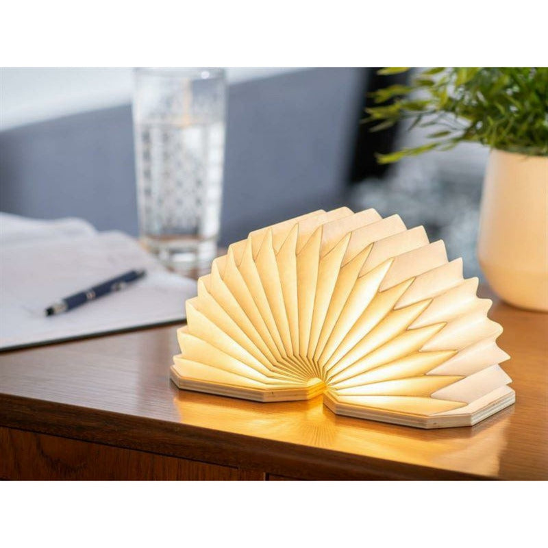 Smart Accordion Light LED – Next Door Gallery