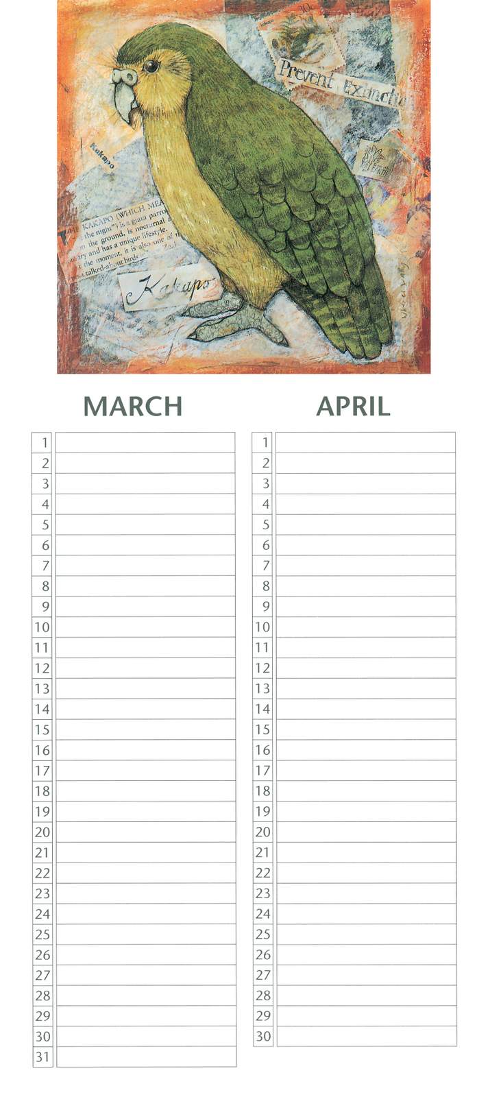 Cecily NZ Birds Perpetual Birthday Calendar – Next Door Gallery