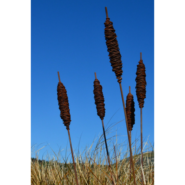 Rusted Garden Stakes add height & interest to any garden.